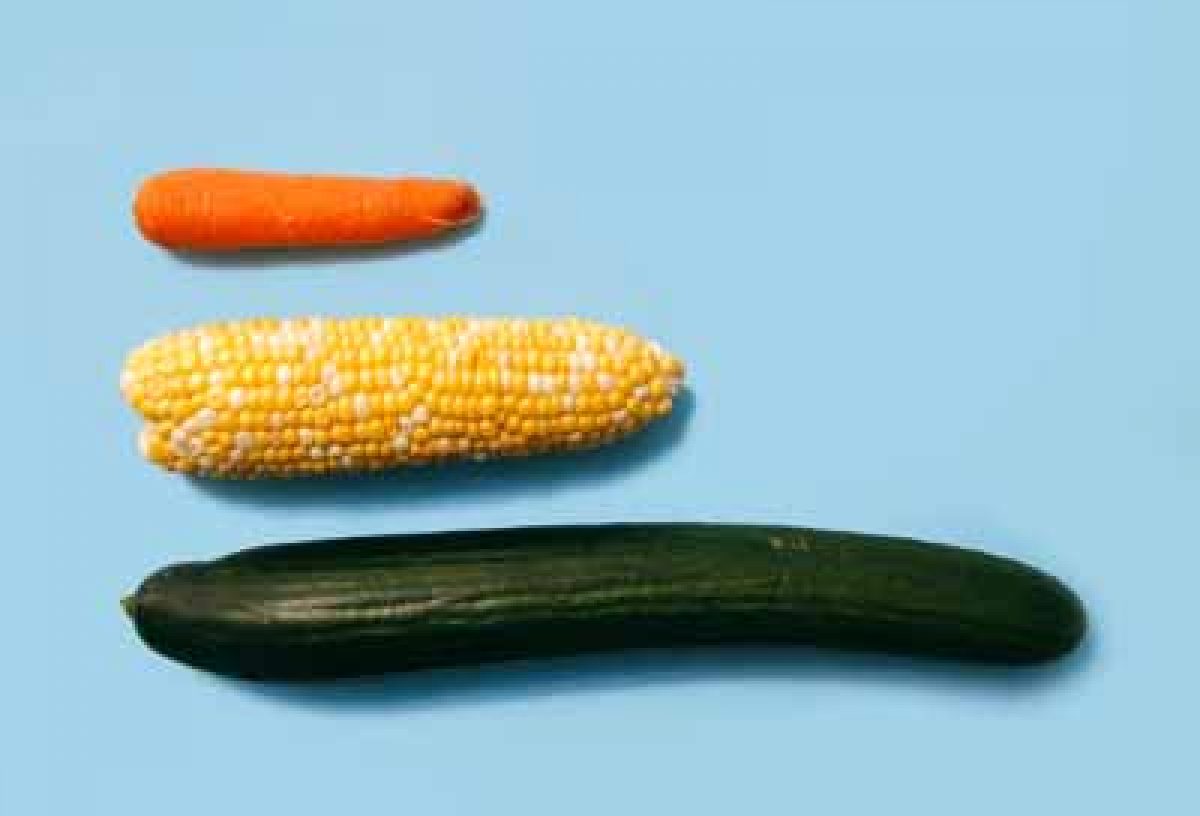 Does Size Matter in a Relationship? -#1 Guide | Atbuz