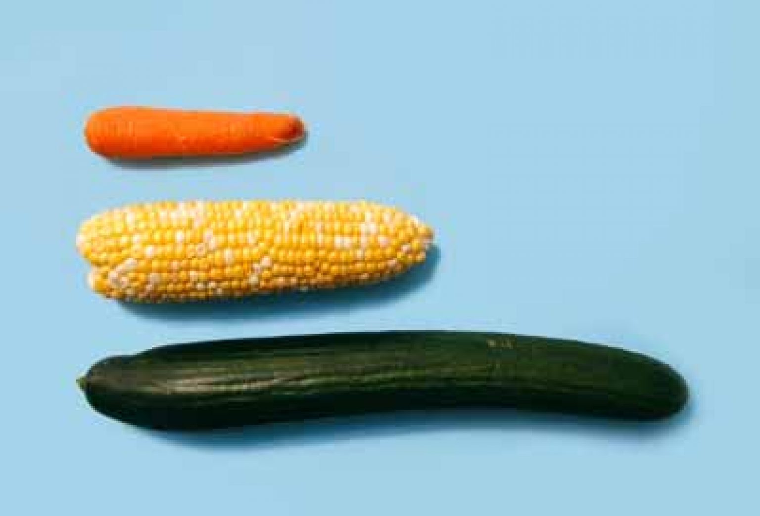 Does Size Matter In A Relationship 1 Guide Atbuz