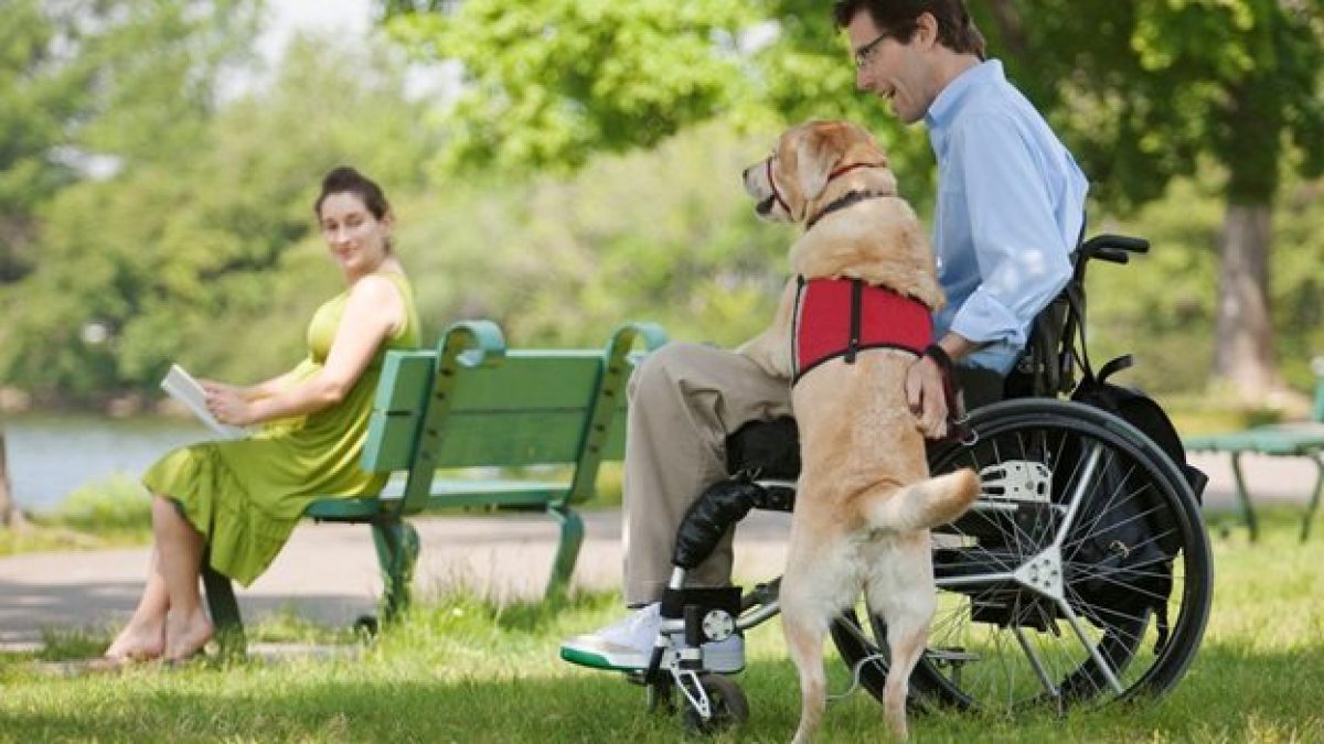 What You Need To Know About Emotional Support Animals ESA | Atbuz